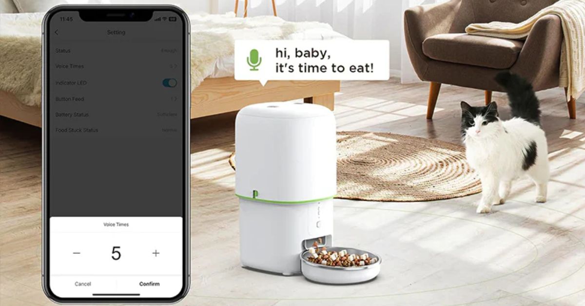 Best Smart Pet Gadgets in Singapore